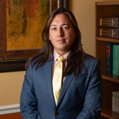 Sekulic, Peter | Association of Family Law Professionals